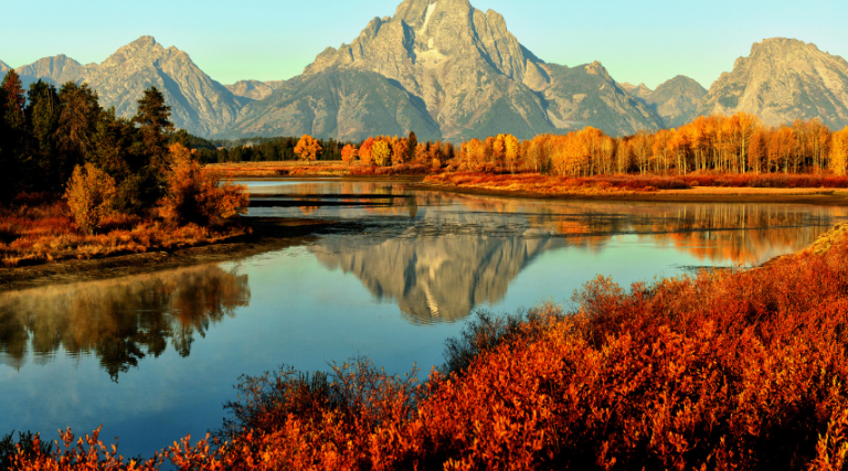 Last town: fall of felixia - Global Technology Magazine