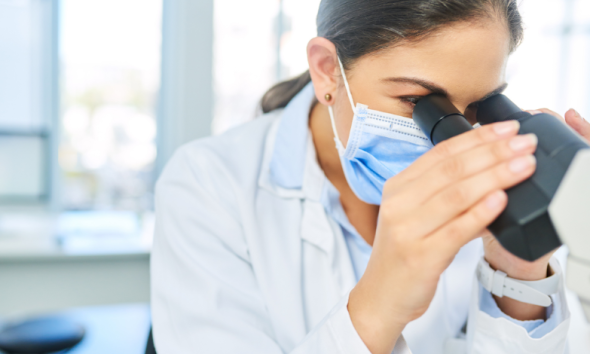 Last town: fall of felixia - Global Technology Magazine